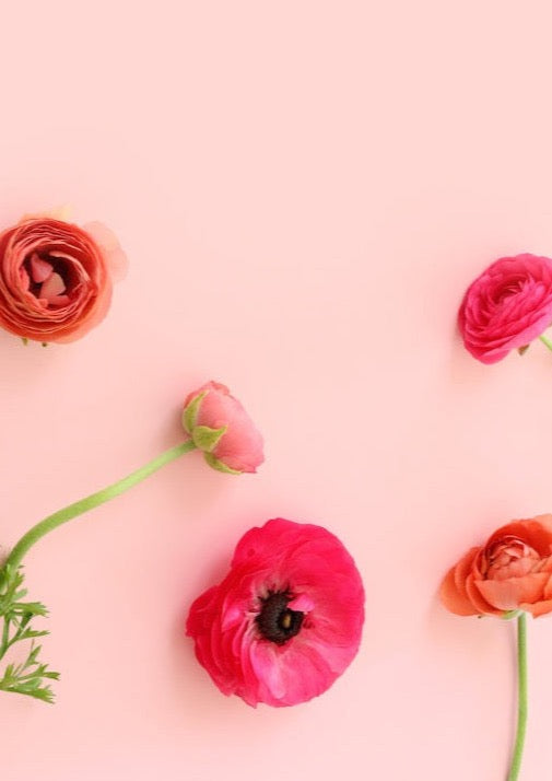 Whimsy Floral: DFW Area Texas Florist